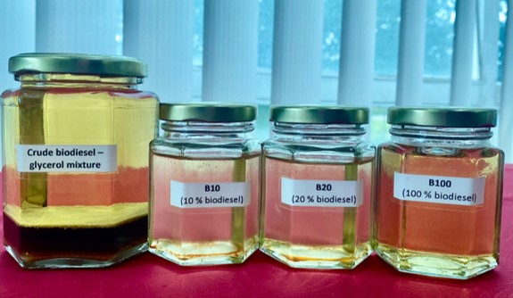 Clean Ride on the Green Side: Biodiesel - Power from Renewables